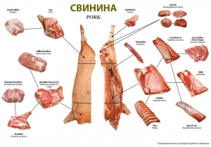 Как выбрать мясо для шашлыка — Ревда-инфо.ру